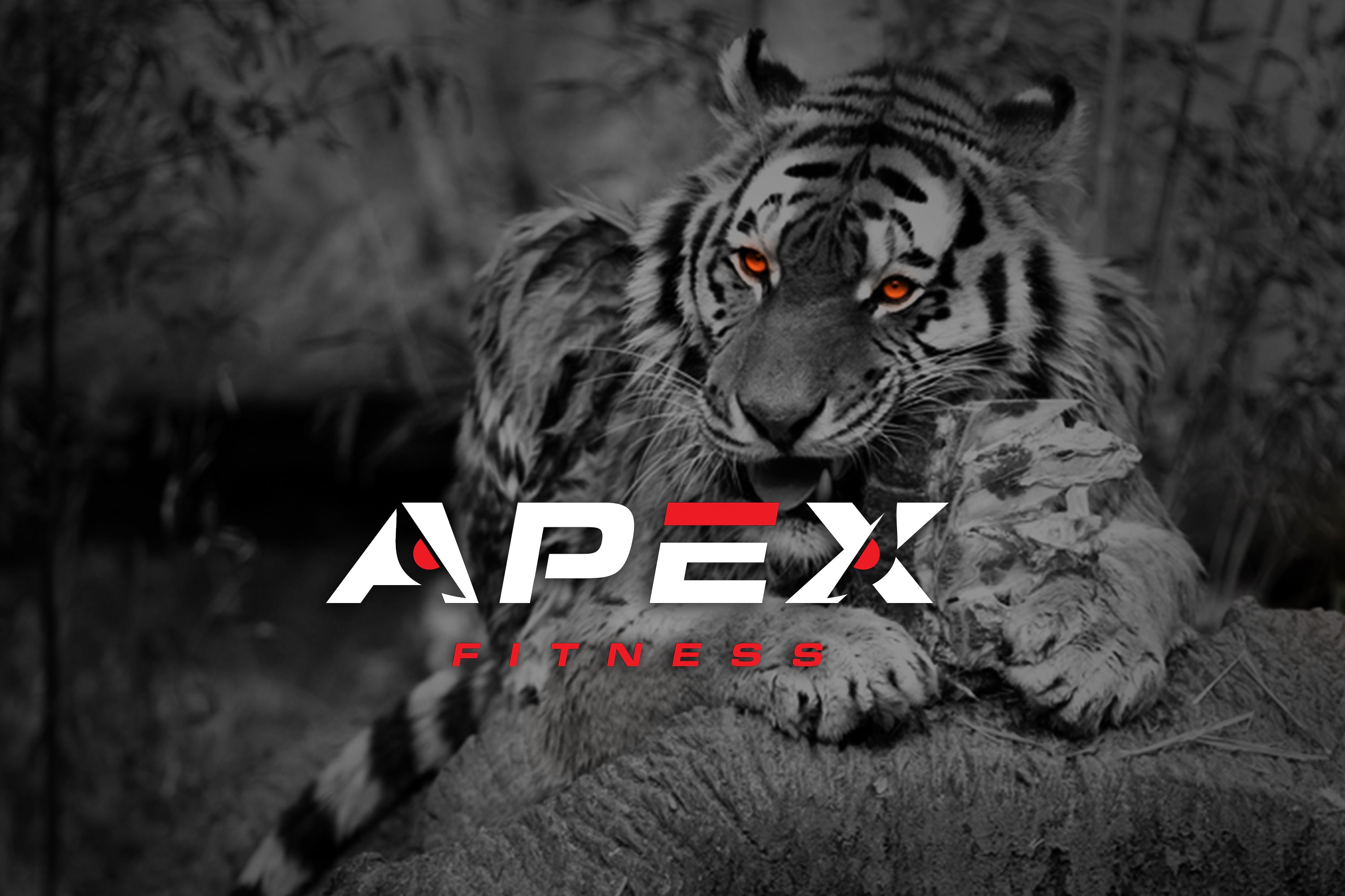 Man's Gotta Eat! Nutritional Tips For Optimal Muscle Gain – Apex ...